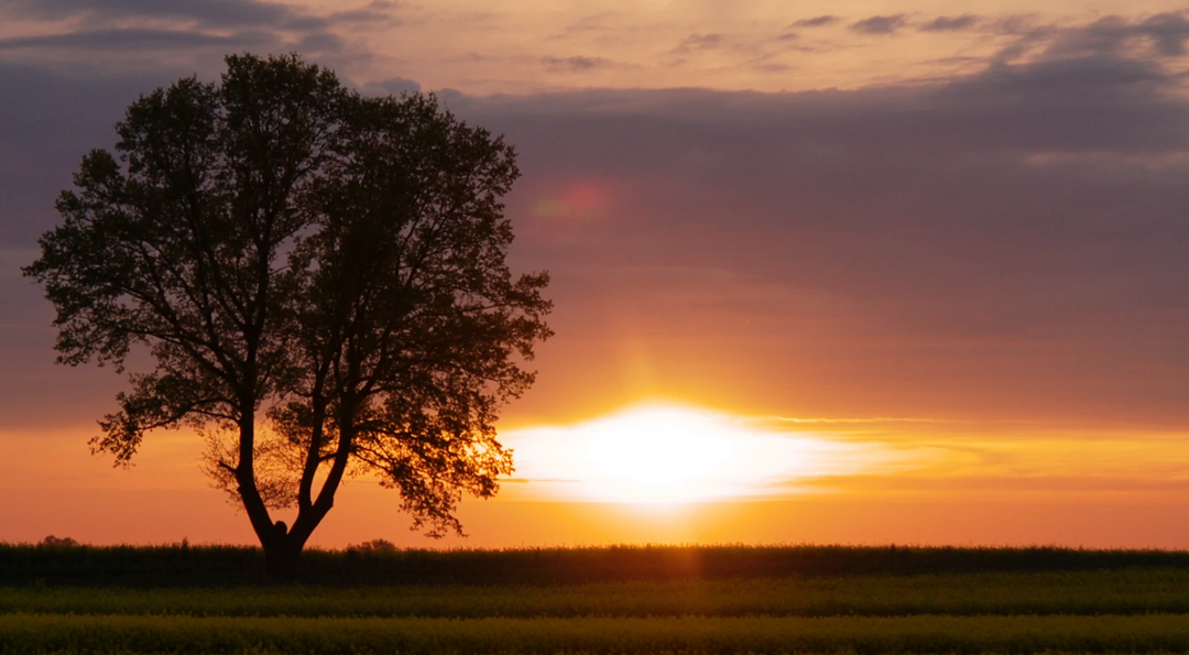 Lark & Berry announces collaboration with Climeworks to combat climate ...
